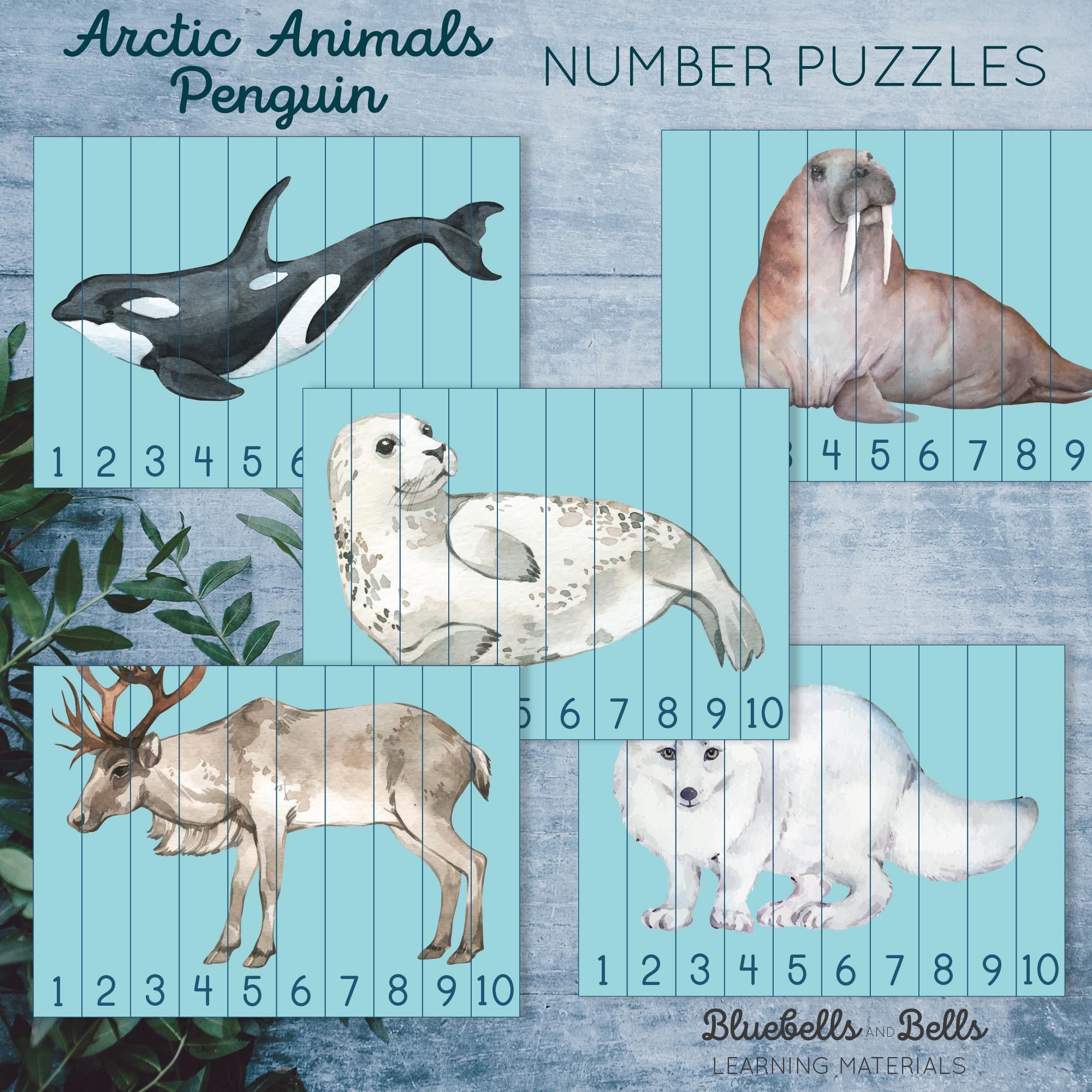 Arctic Animals Preschool Printable Puzzles 1-10. Penguin Number ...