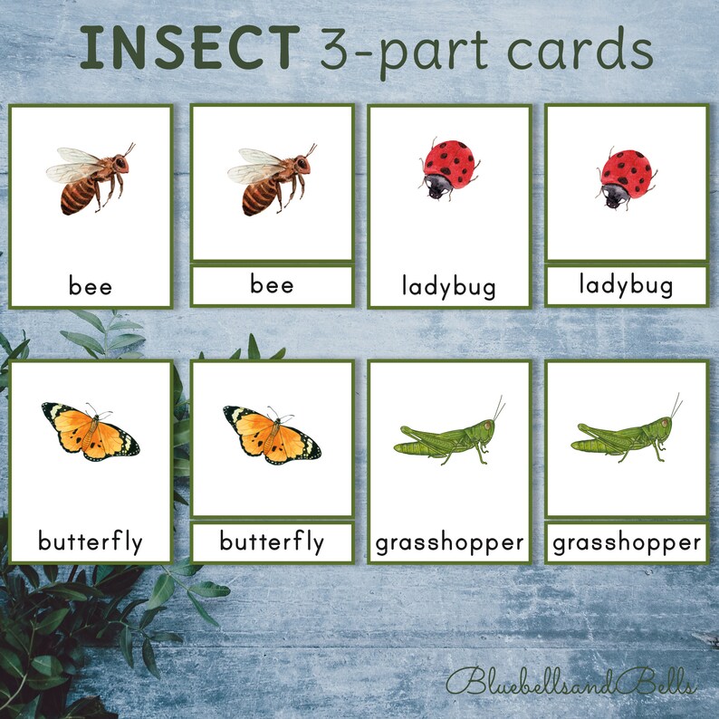 Insect Montessori Printable 3-part Cards. Preschool and | Etsy