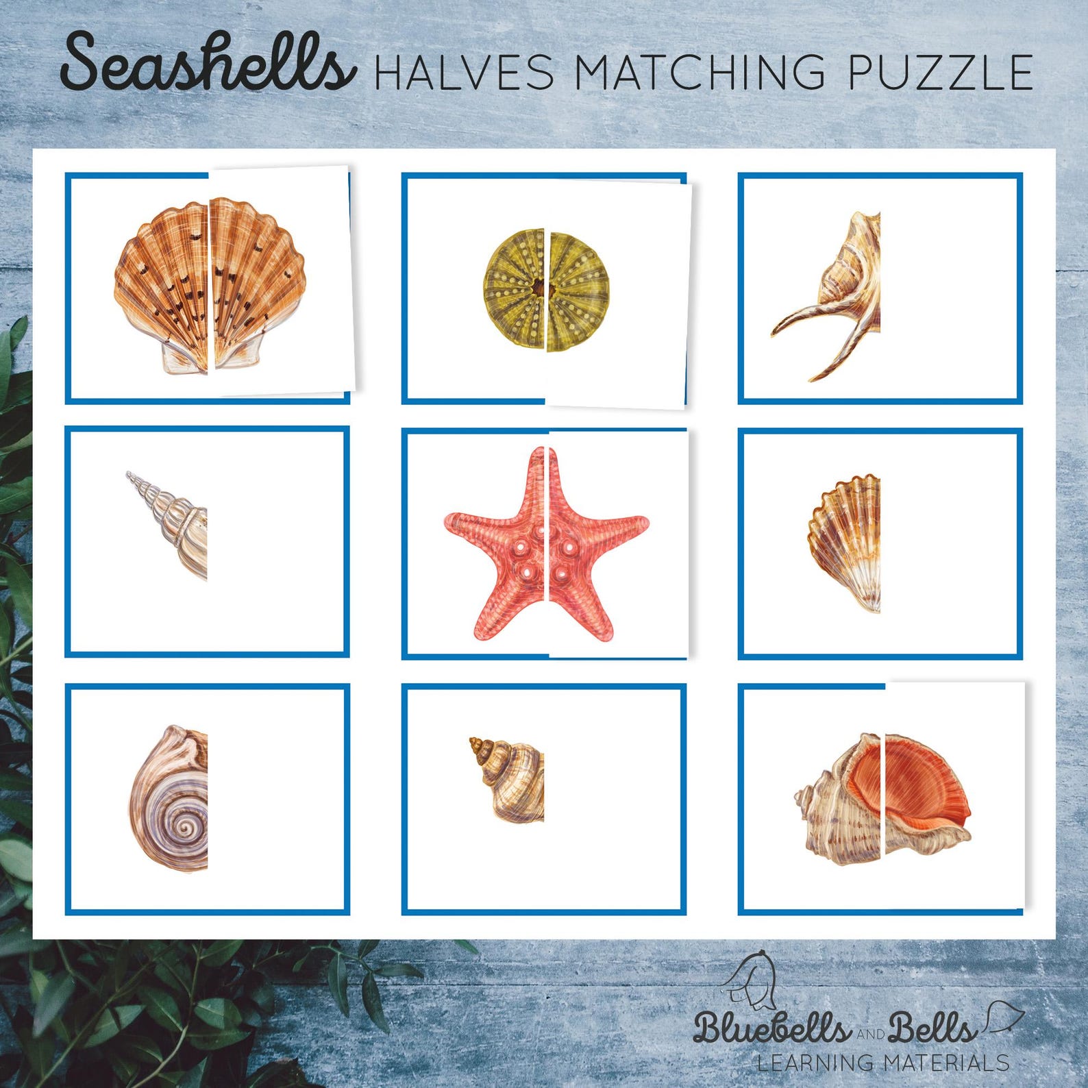 Toddler Summer Puzzle Seashells Halves Matching. Montessori Busy Book ...