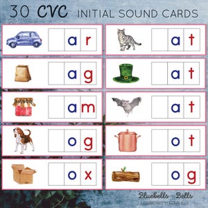 Montessori Printable Moveable Alphabet. CVC Word Phonics Matching Cards ...