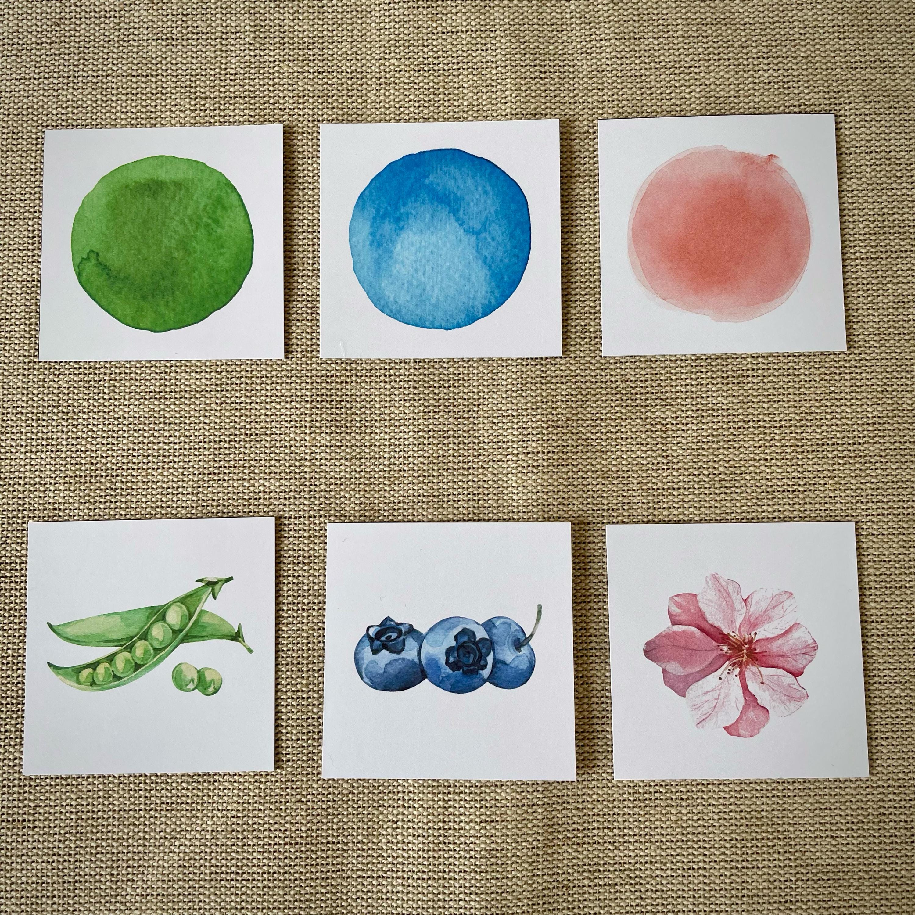 Color Sorting Preschool Printable Activity. Toddler Watercolor ...
