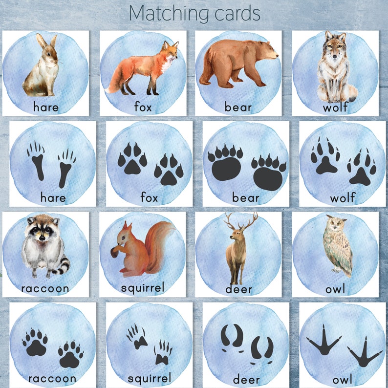 Winter Woodland Animal Tracks Flashcards. Montessori Winter | Etsy