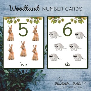 Woodland Animals Number Flashcards 1-10. Nature Counting Cards 1-10 ...
