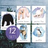 Arctic Animal Prints: Polar Bear, Seal, Penguin Nursery Decor (digital ...