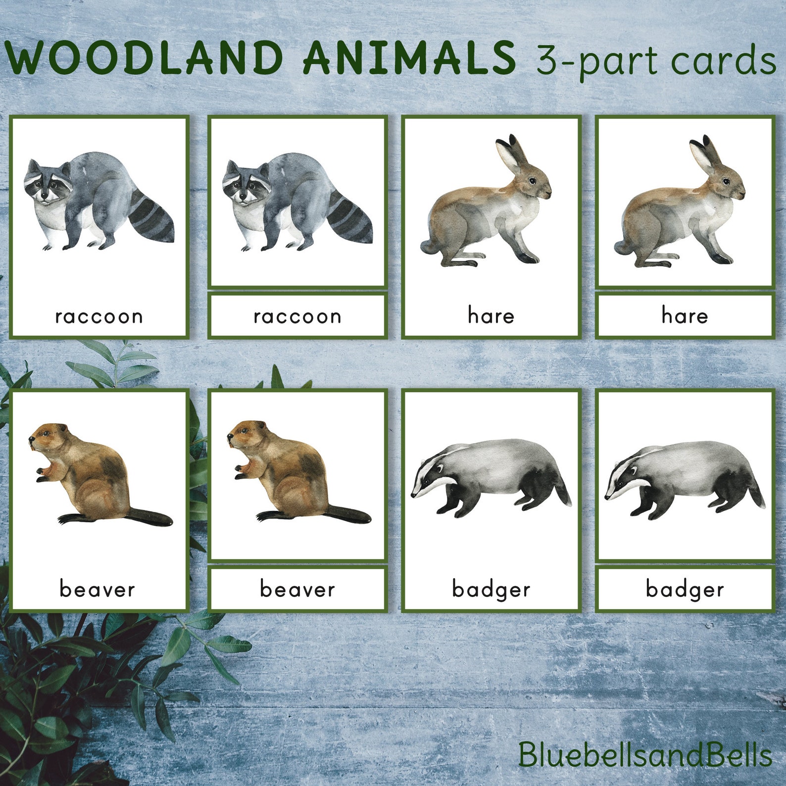 Woodland Animals Montessori 3 Part Cards. Preschool Vocabulary - Etsy