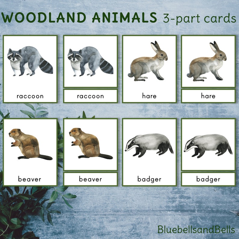 Woodland Animals Montessori 3 Part Cards. Preschool Vocabulary - Etsy