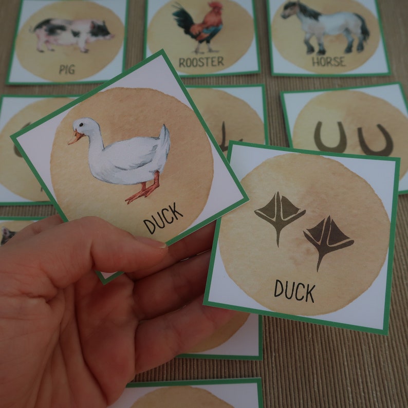 Farm Animal Tracks Flashcards. Montessori Spring Printable. Preschool ...