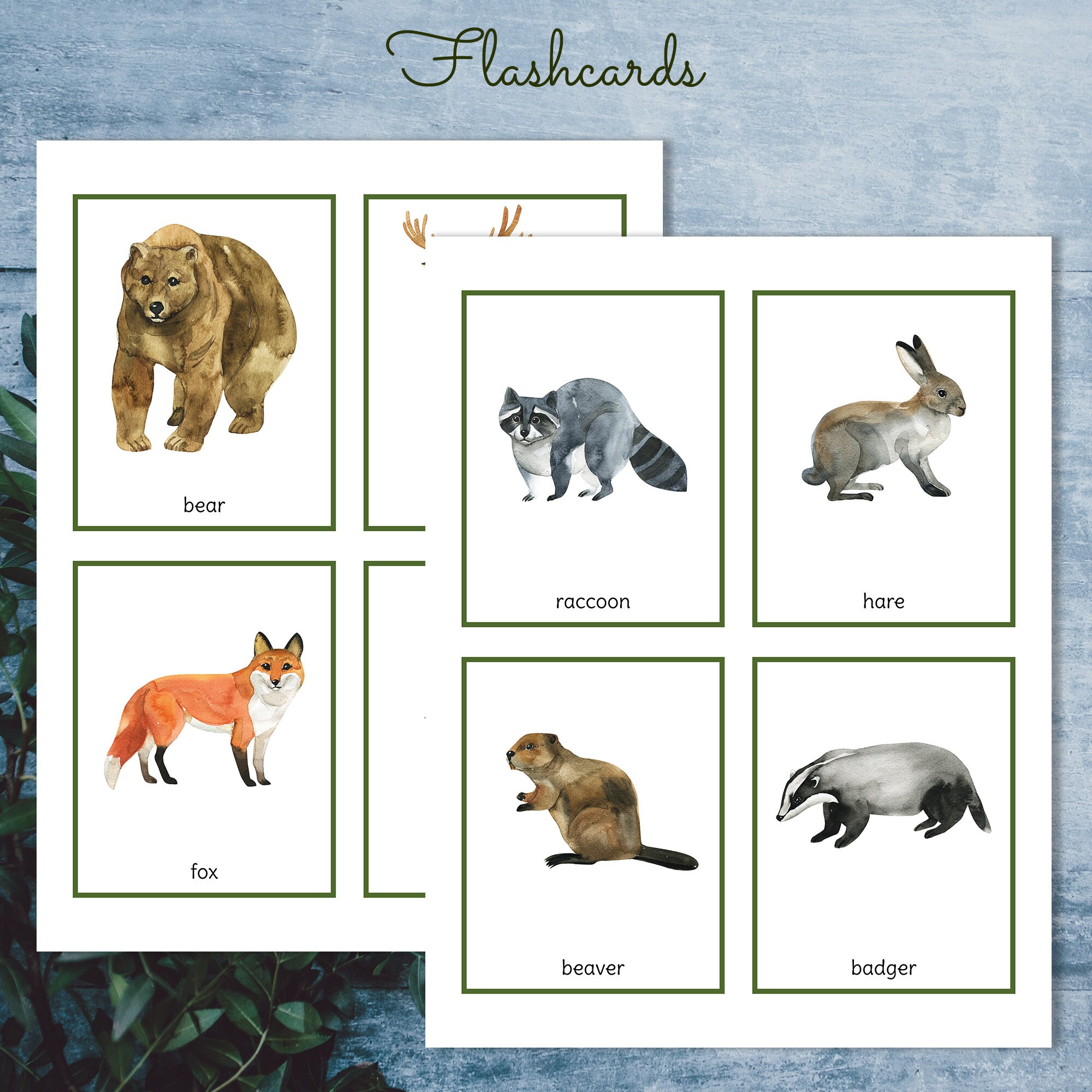 Woodland Animal Flash Cards. Toddler Printable Watercolor - Etsy