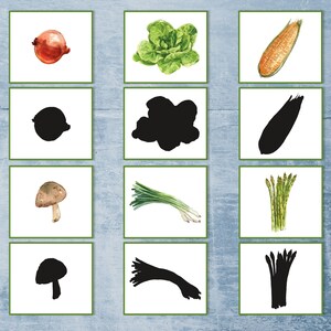 Vegetables Printable Shadow Matching Cards. Montessori Toddler Activity ...