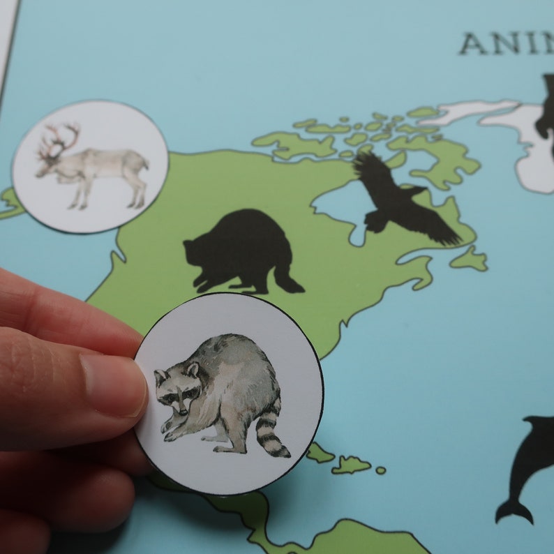 Animals of the Continents Shadow Matching Activity. Montessori - Etsy