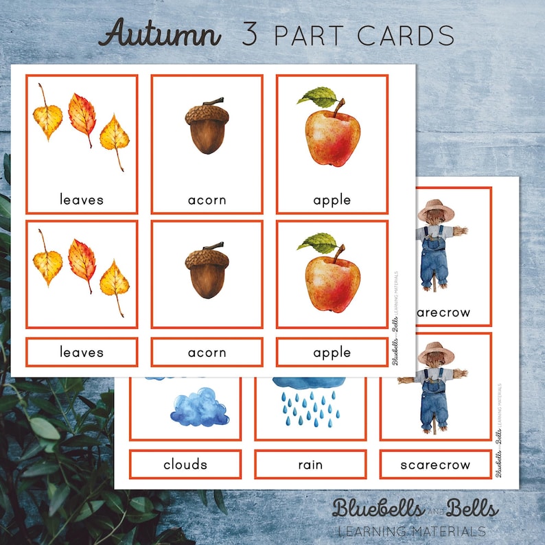 Fall Montessori Printable 3 Part Cards. Autumn Vocabulary for Preschool ...