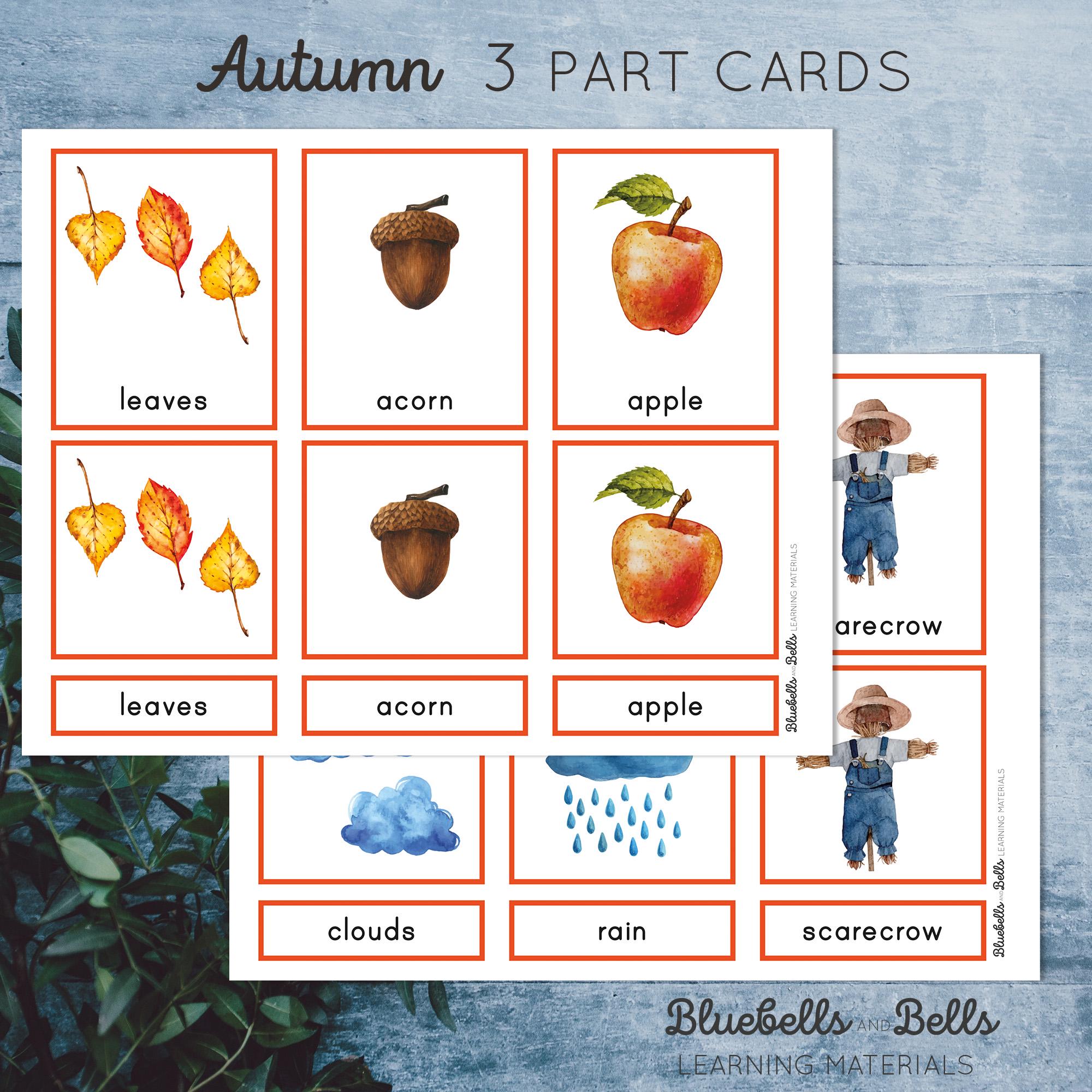 Fall Montessori Printable 3 Part Cards. Autumn Vocabulary for Preschool ...