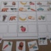 Toddler Category Sorting Printable. Montessori Matching Activity. - Etsy