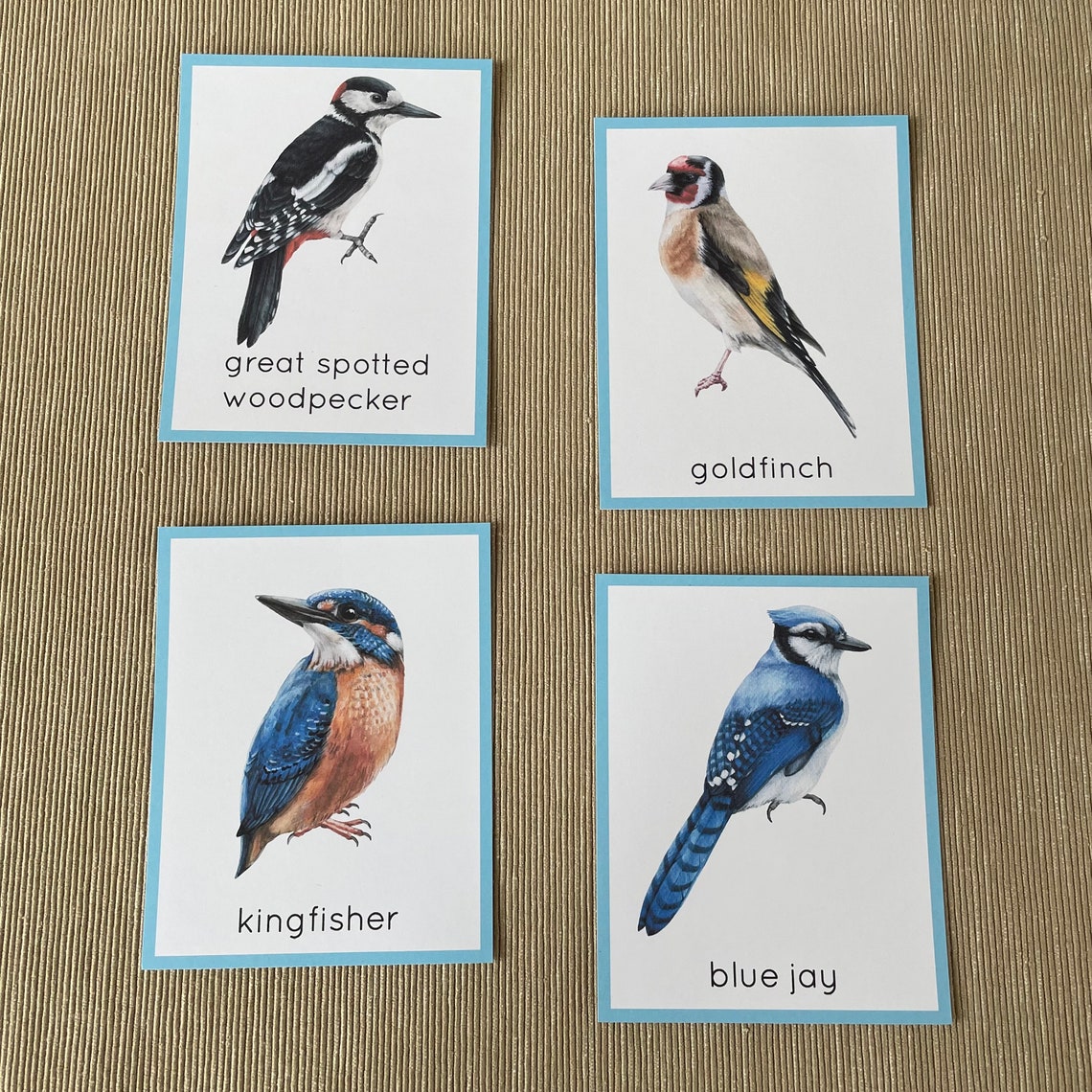 Birds Cards. Birds Identification Printable Flash Cards. Montessori ...