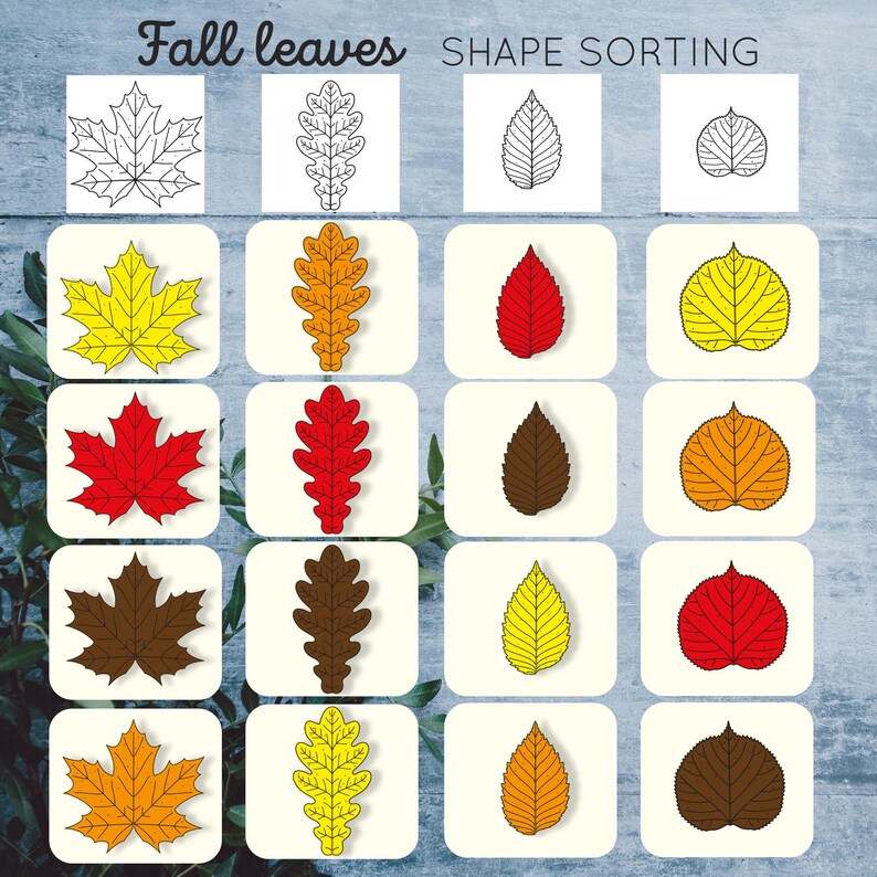 Color Sorting Fall Leaves Activity for Preschool. Shape Sorting ...