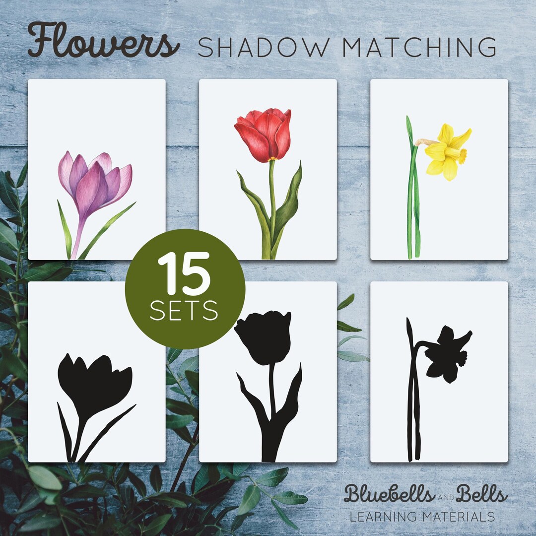 Flower Printable Shadow Matching Cards. Montessori Spring Preschool ...
