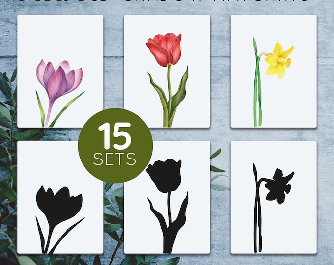 Spring Shadow Matching Cards, Spring Shadow Matching Activity ...