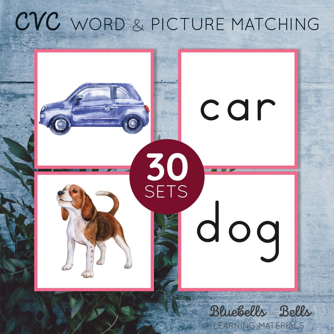 Montessori Printable CVC Word and Picture Matching Activity. Pink ...