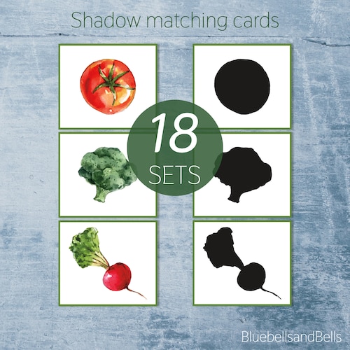 Fruit Shadow Matching Cards. Montessori Preschool Printable. | Etsy