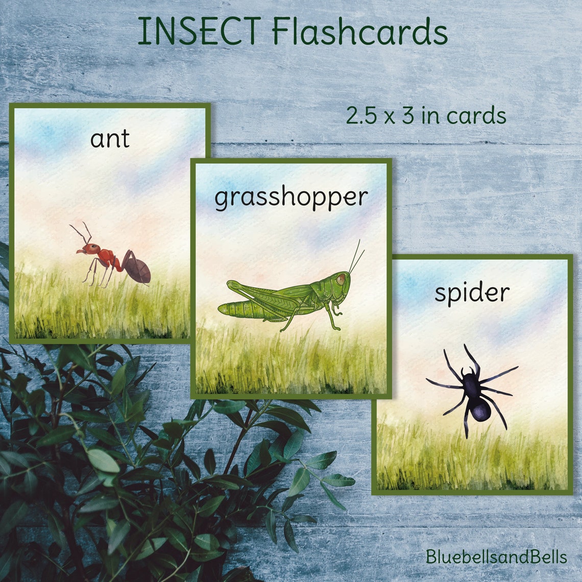 Insect Preschool Printable Mini Flashcards. Watercolor Animal | Etsy