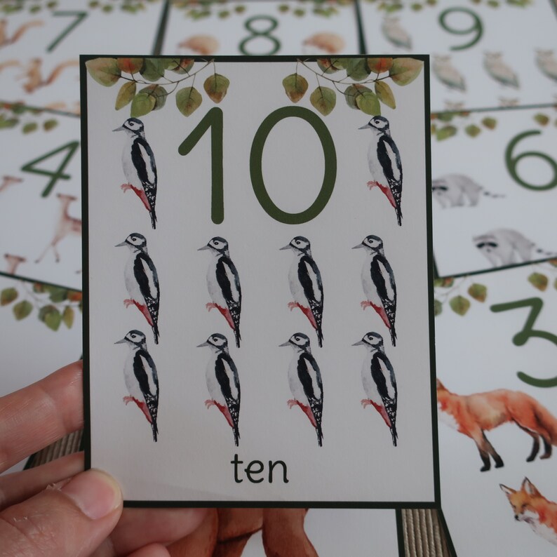 Woodland Animals Number Flashcards 1-10. Nature Counting Cards | Etsy