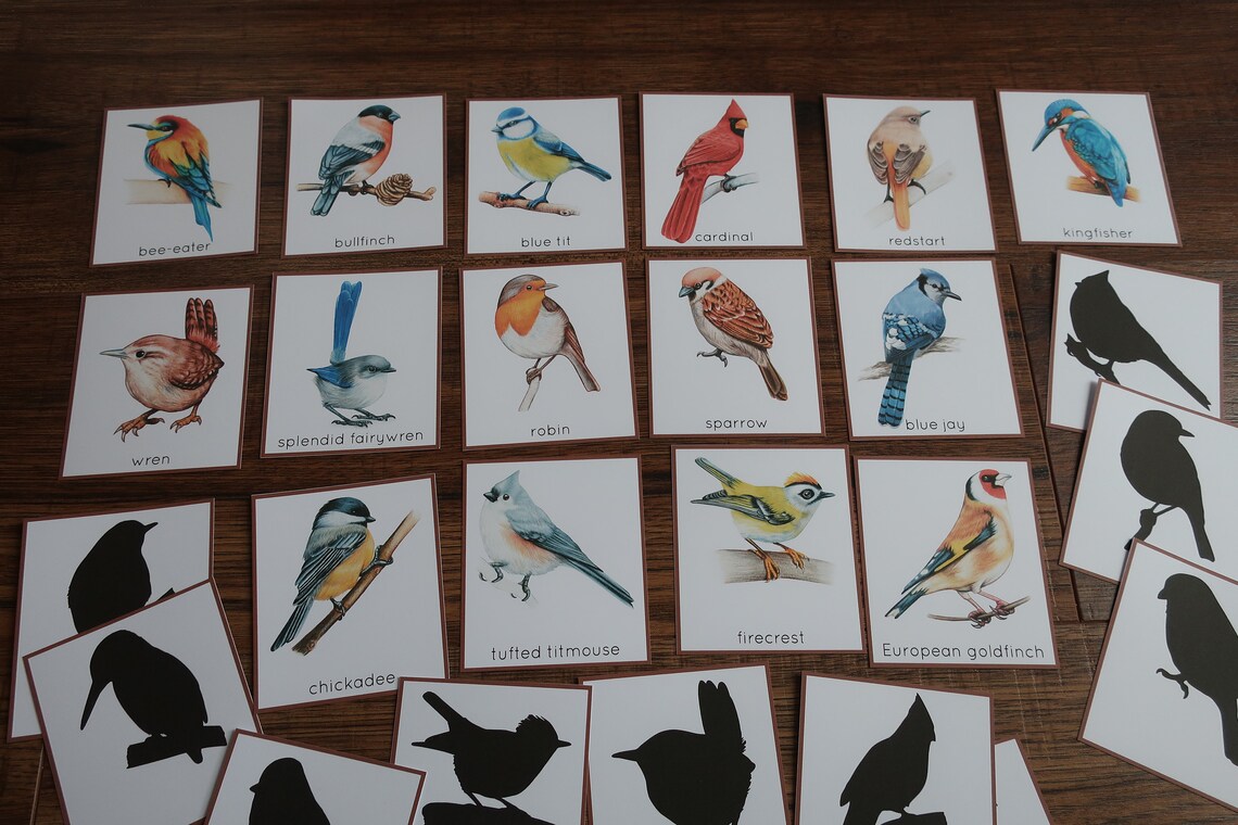 Bird Shadow Matching Flash Cards. Montessori Spring Printable. | Etsy