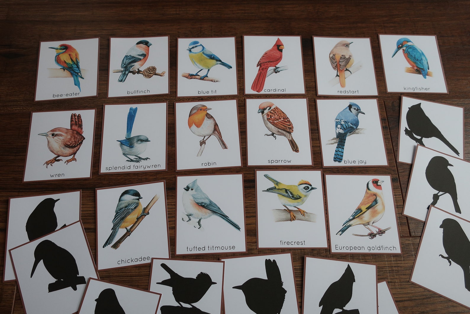 Bird Shadow Matching Flash Cards. Montessori Spring Printable. - Etsy