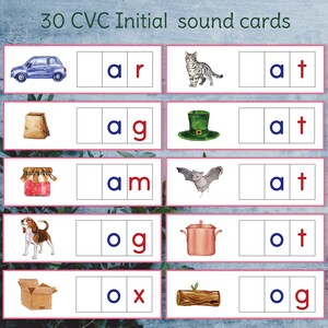 Montessori Printable Moveable Alphabet. CVC Word Phonics Matching Cards ...
