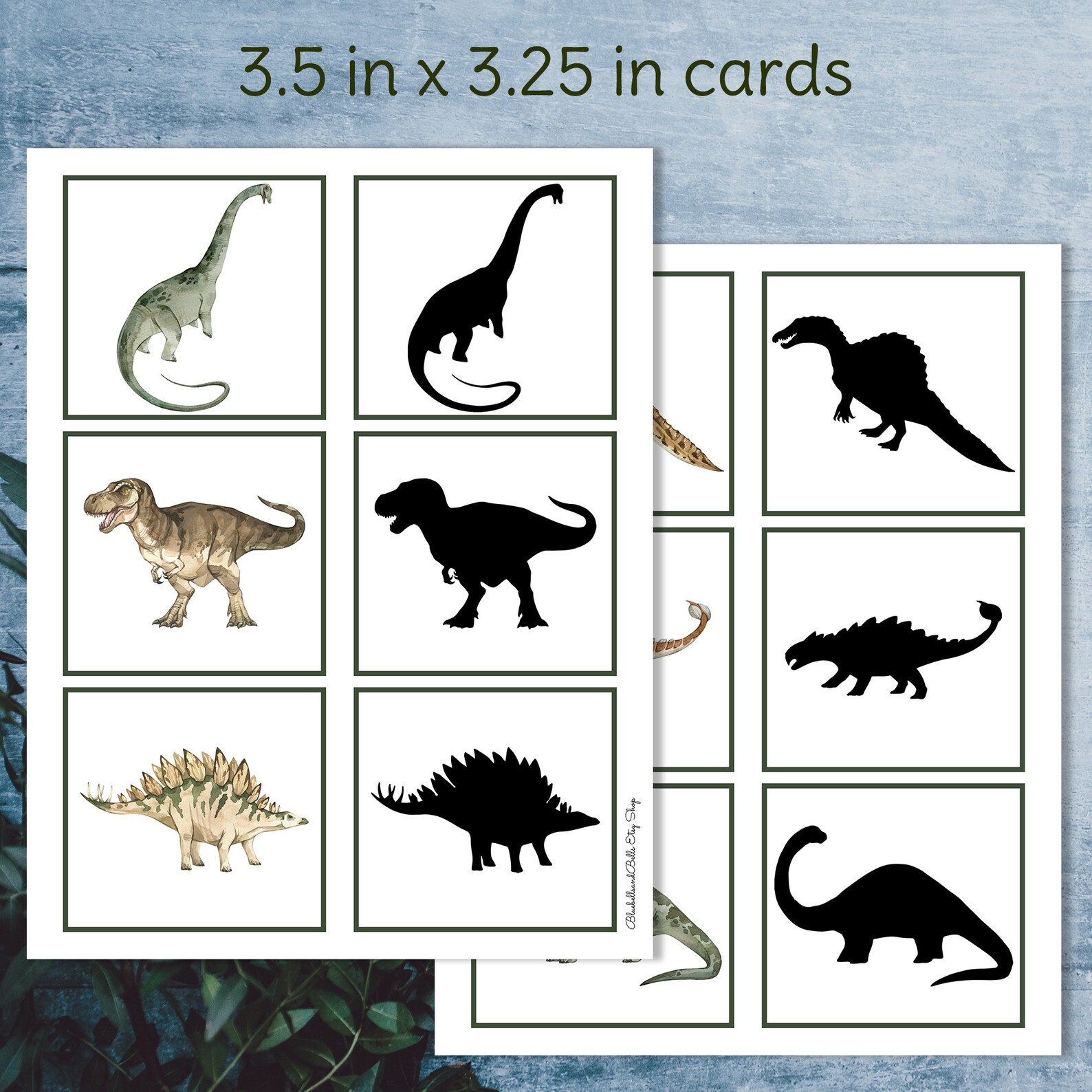 Montessori Printable Dinosaur Shadow Matching Cards. Toddler - Etsy