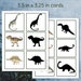 Montessori Printable Dinosaur Shadow Matching Cards. Toddler Matching ...