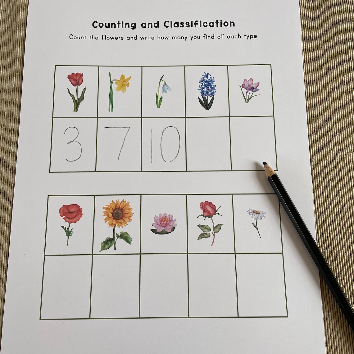 Graphing Printable Flowers. Preschool and Kindergarten Math - Etsy
