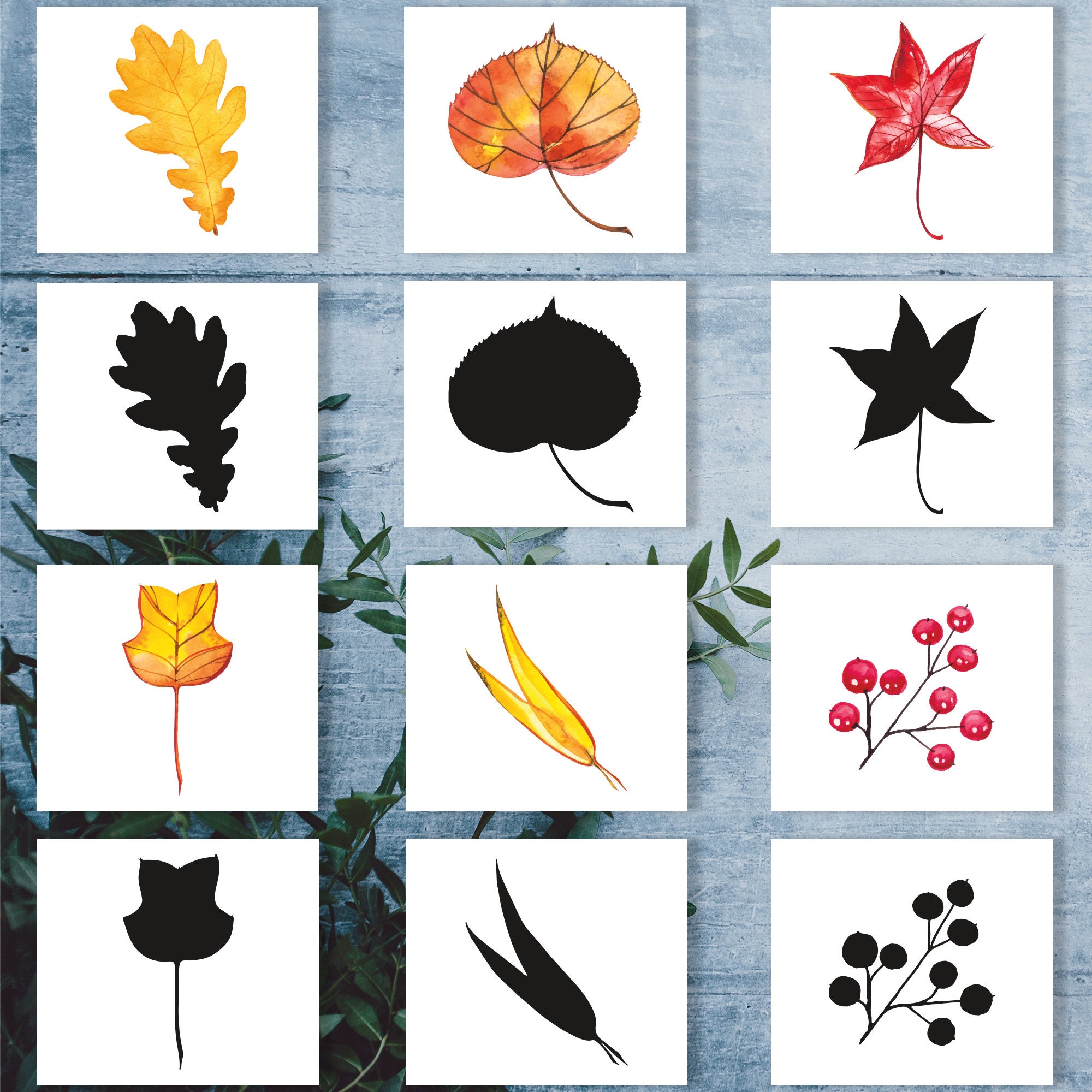 Autumn Shadow Matching Montessori Printable. Fall Nature - Etsy
