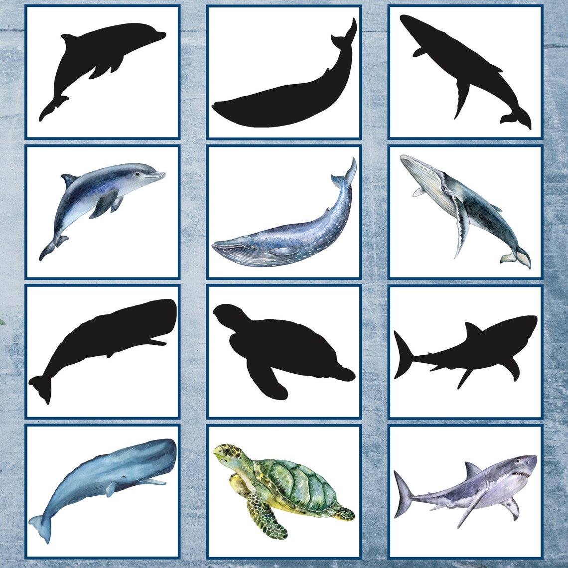 Ocean Animal Shadow Matching Cards. Montessori Summer - Etsy Canada