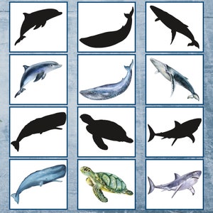 Ocean Animal Shadow Matching Cards. Montessori Summer Preschool ...