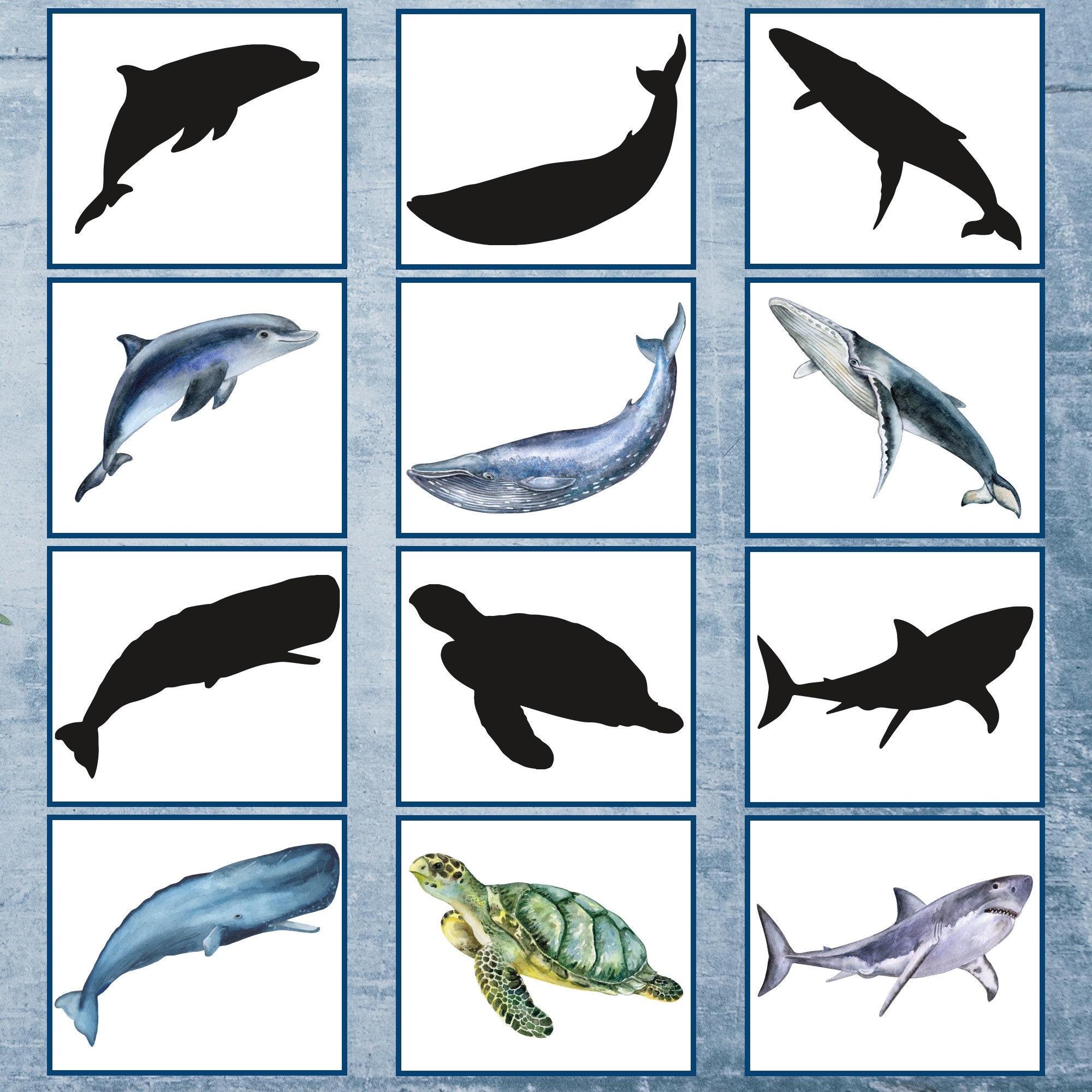 Ocean Animal Shadow Matching Cards. Montessori Summer - Etsy Canada