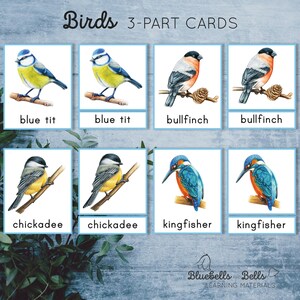 Birds Montessori Printable 3-part Cards. Spring Vocabulary Activity for ...