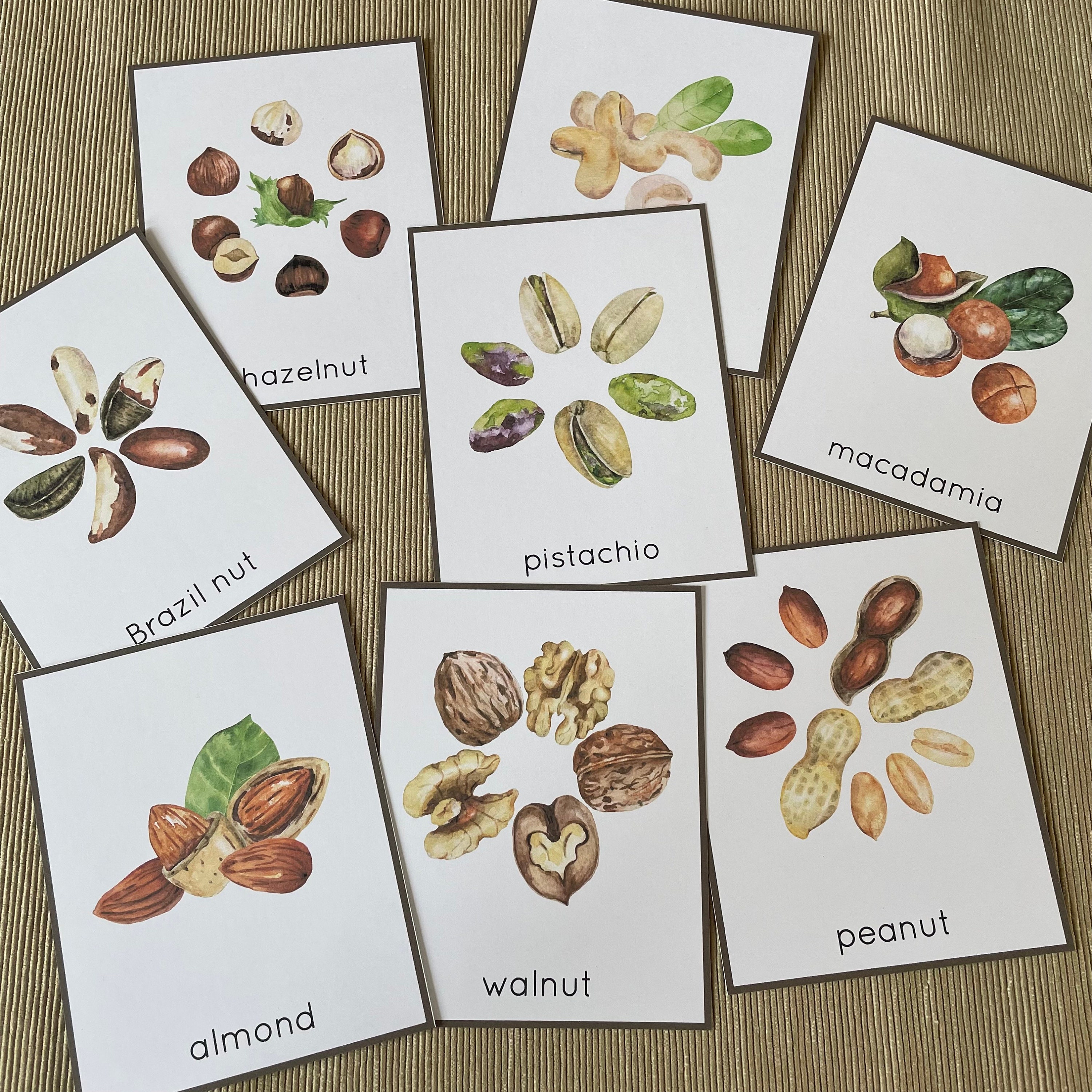 Nuts Identification Flash Cards. Vocabulary Preschool and Kindergarten ...