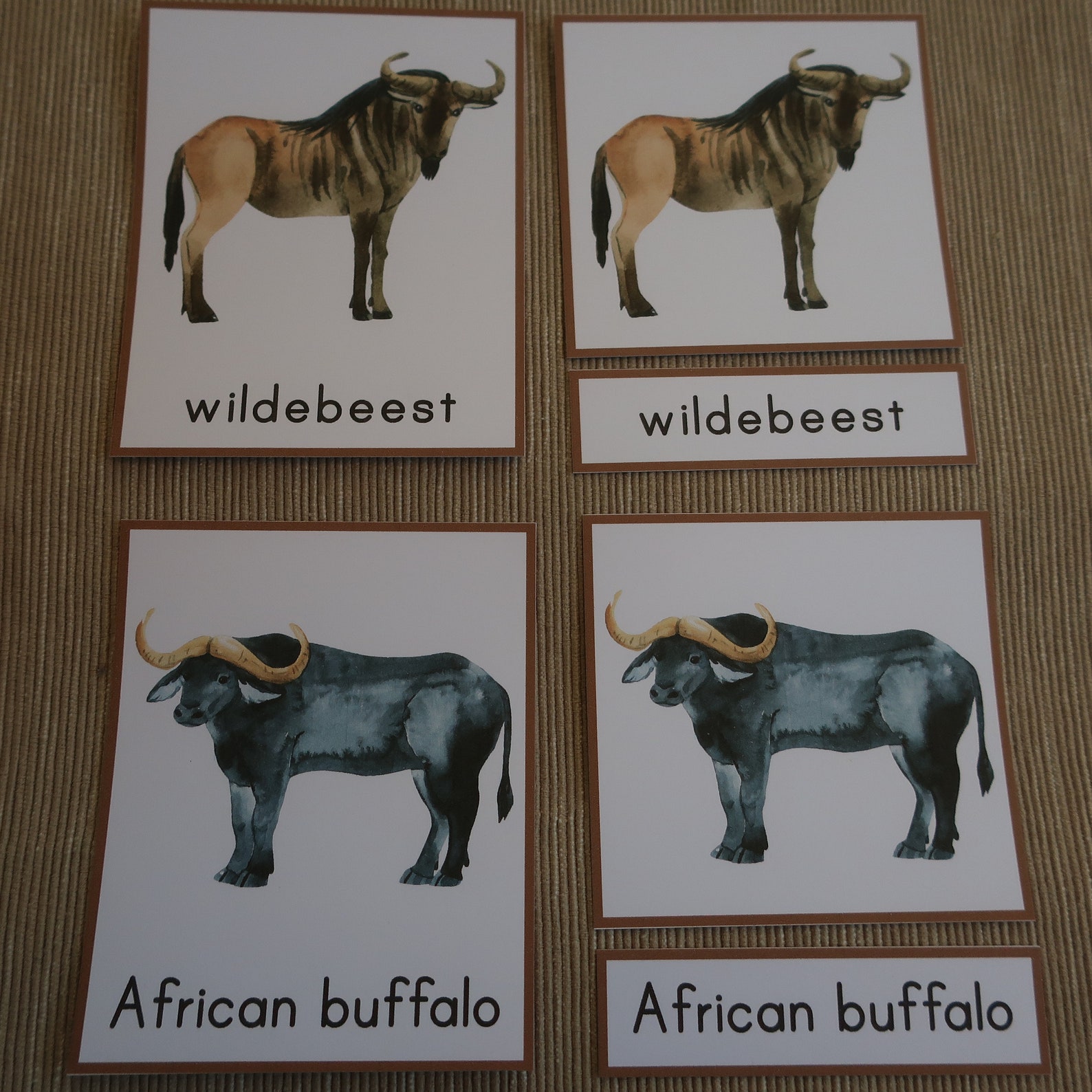 Africa Animals Montessori 3 Part Cards. Preschool and Kindergarten ...