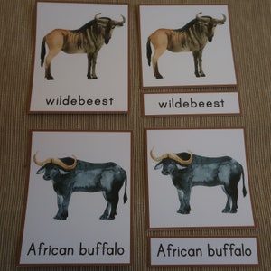 Africa Animals Montessori 3 Part Cards. Preschool and Kindergarten ...
