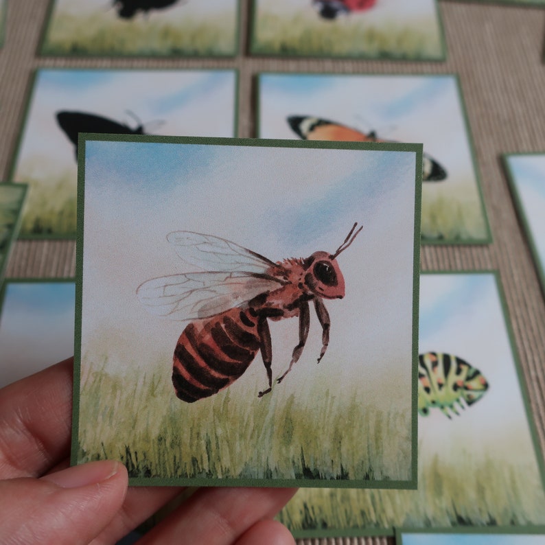 Insect Shadow Matching Cards. Montessori Pre-reading Printable | Etsy