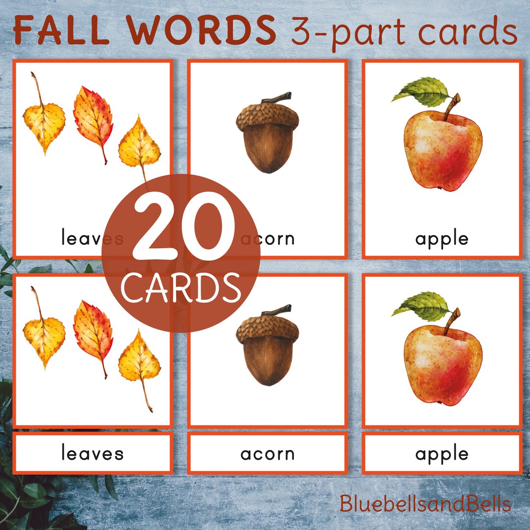 Fall Montessori Printable 3 Part Cards. Autumn Vocabulary for Preschool ...