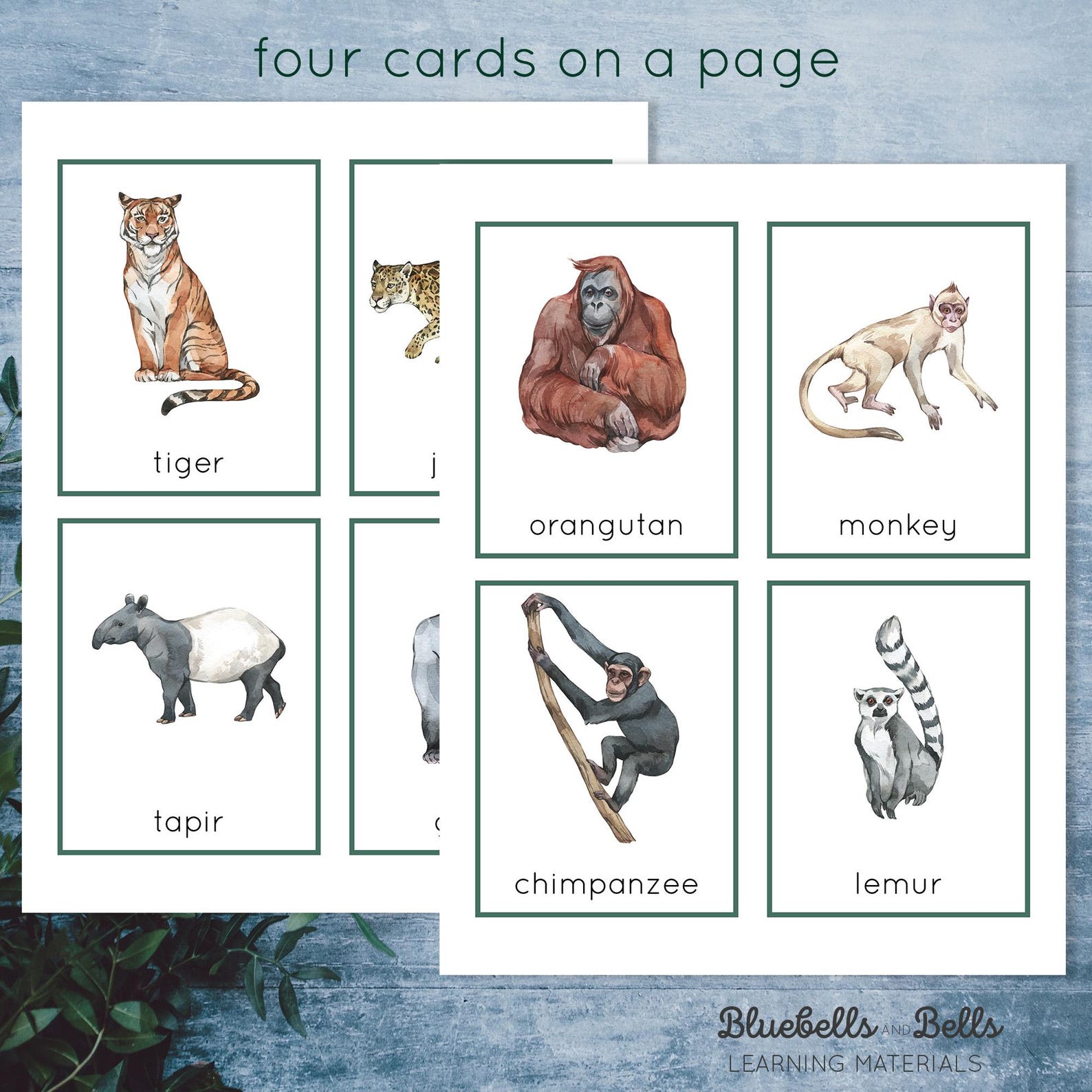 Rainforest Animal Flash Cards. Toddler Watercolor Cards. Preschool ...