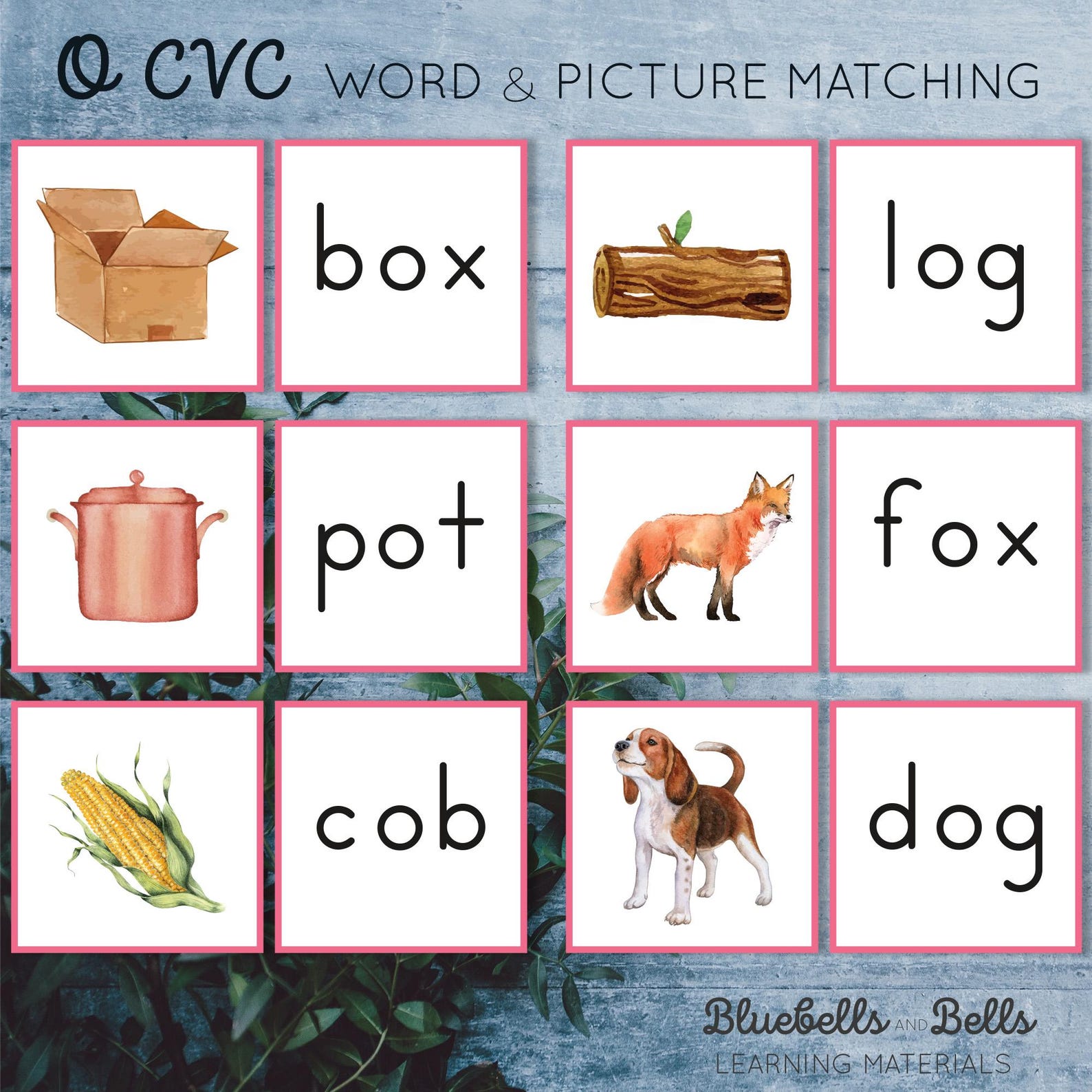 Montessori Printable CVC Word and Picture Matching Activity. Pink ...