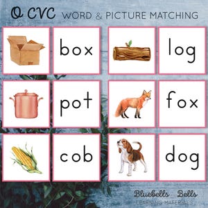 Montessori Printable CVC Word and Picture Matching Activity. Pink ...