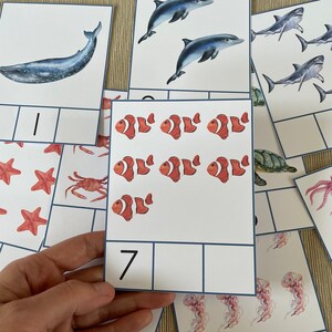 Special Education Errorless Count and Clip Cards 1-10 Ocean. - Etsy
