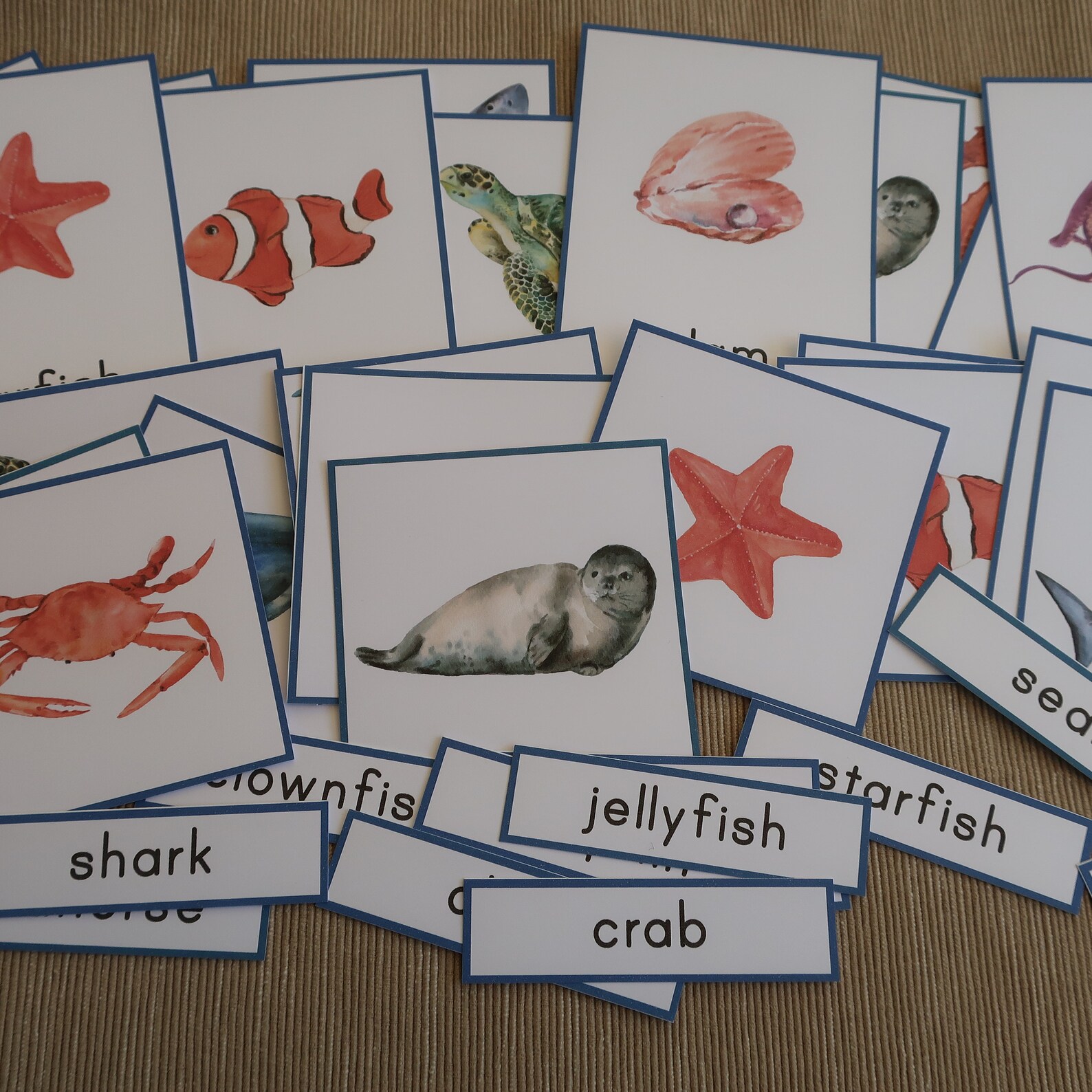 Ocean Montessori Printable 3 Part Cards. Preschool Vocabulary | Etsy