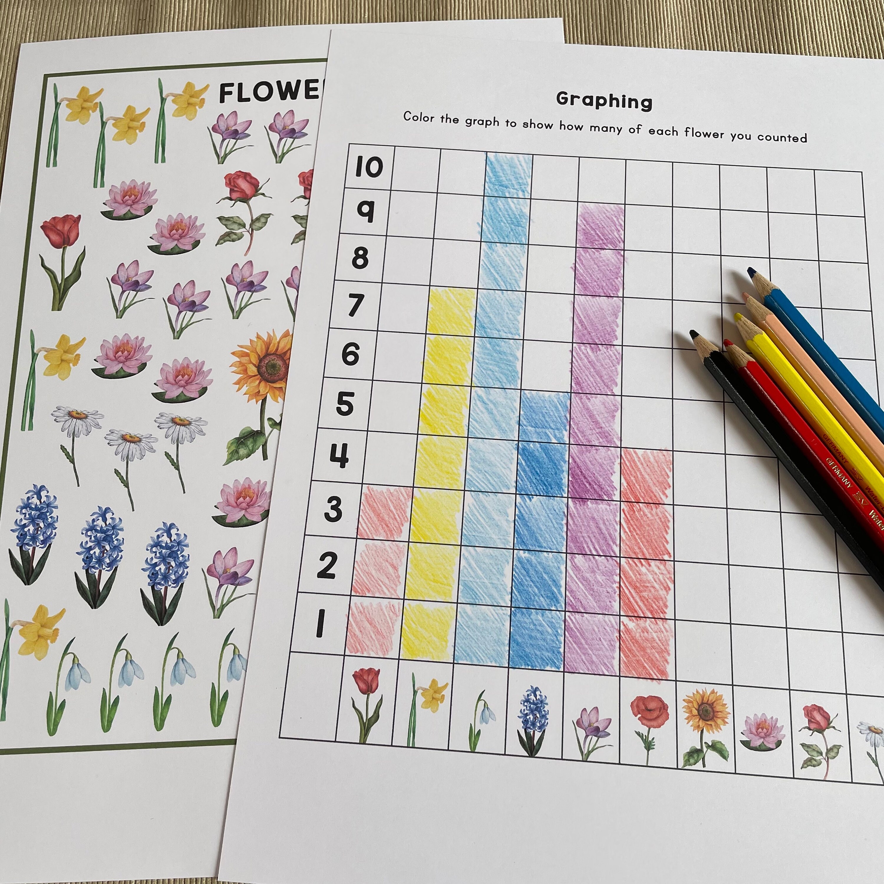 Graphing Printable Flowers. Preschool and Kindergarten Math - Etsy