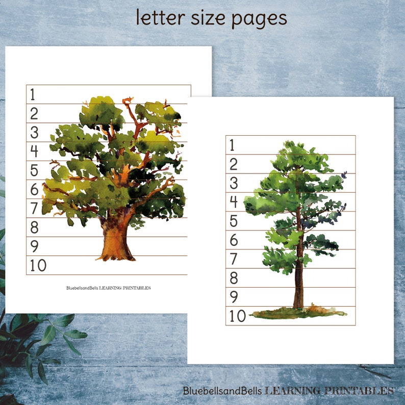 Trees Preschool Printable Puzzle Number Sequence 1-10. Kindergarten ...