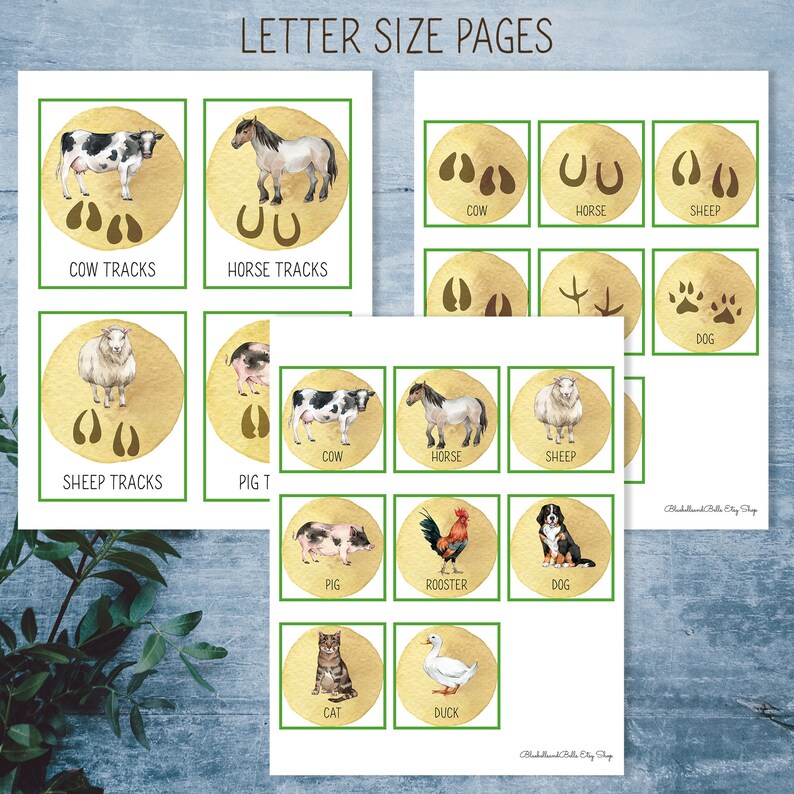 Farm Animal Tracks Flashcards. Montessori Spring Printable. - Etsy