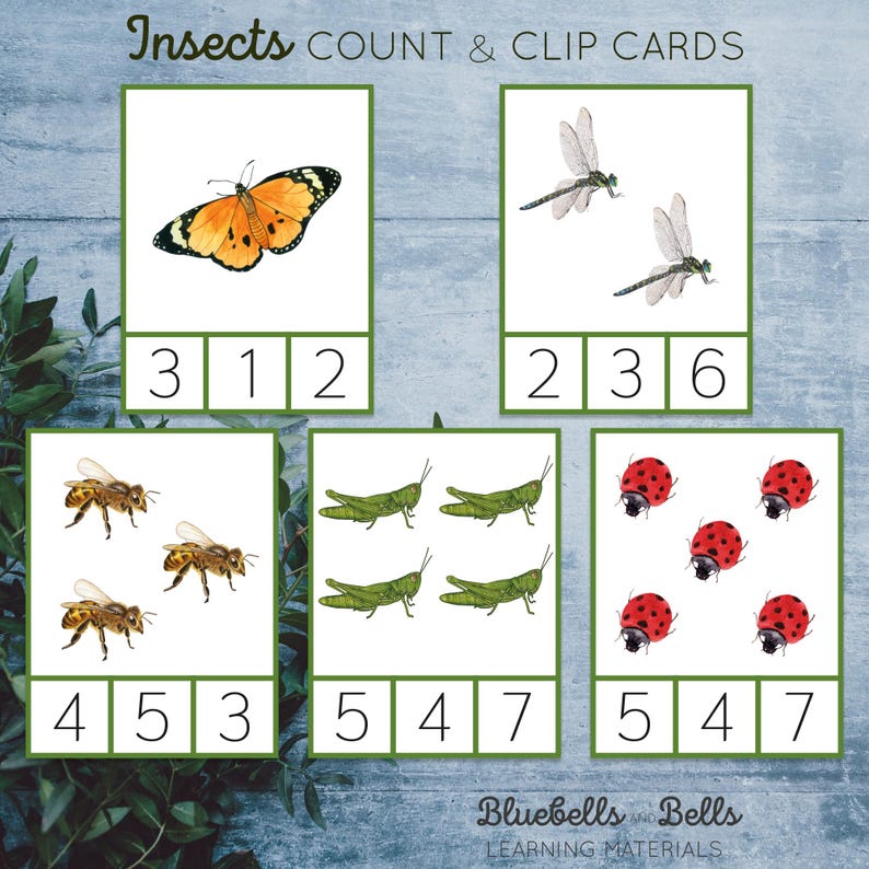 Insect Count and Clip Cards 1-10. Montessori Summer Math Printable ...